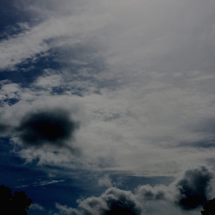 ANIMATED ASSEMBLAGE | TRANSMODERN VEILS