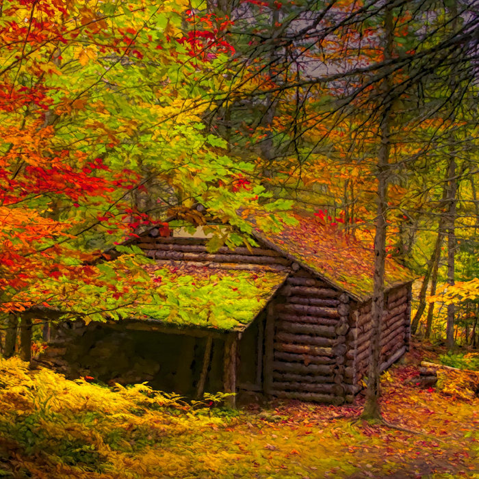 Religious Week | D254 | Showstart-release