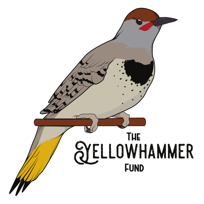 The Yellowhammer Fund | various artists | Bummer Presents...