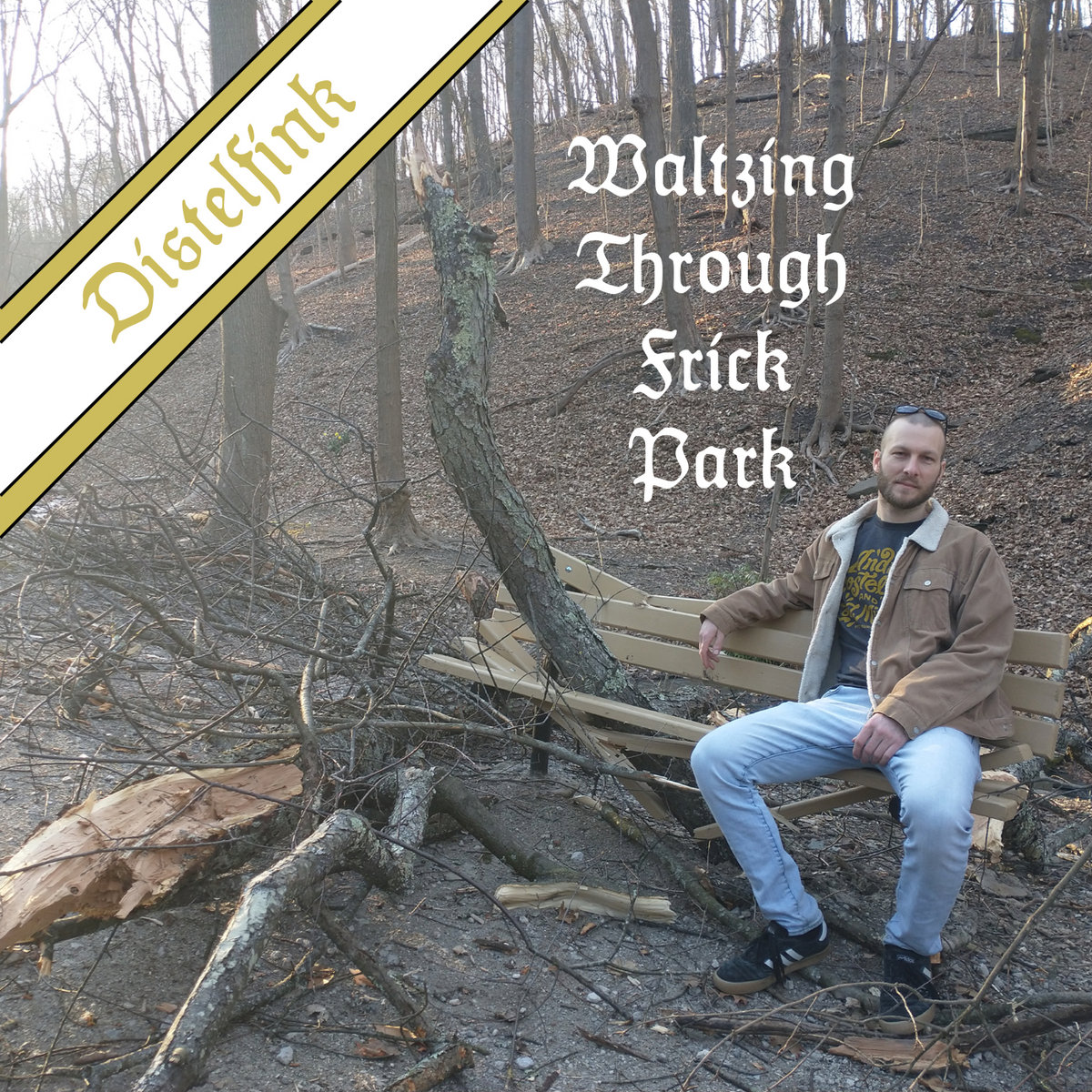 Waltzing Through Frick Park | Distelfink