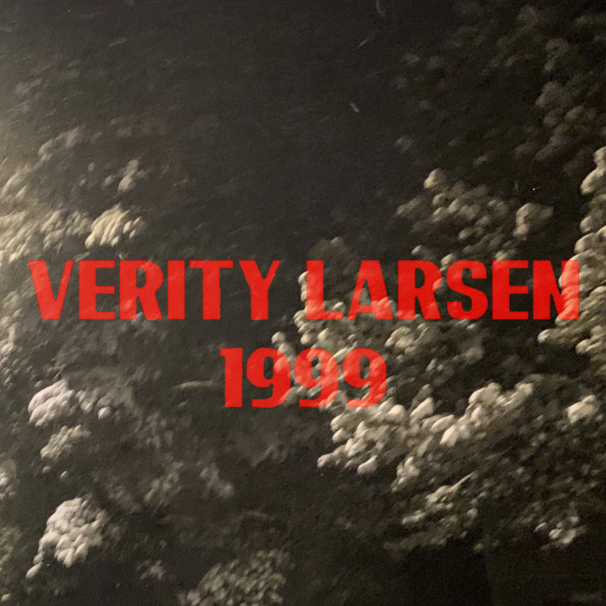 Verity Larsen 1999 | Verity Larsen & 1999 | Cavern Brew Records
