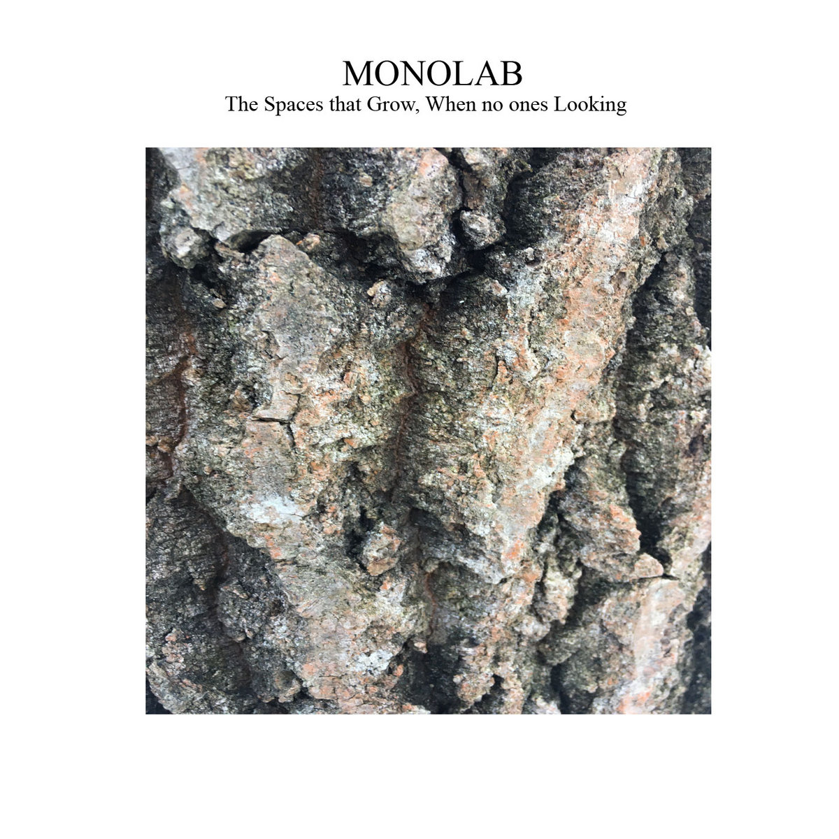 The Spaces that Grow, When no ones Looking | Monolab