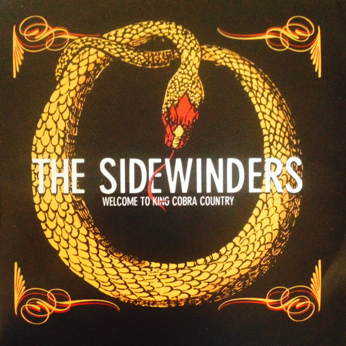 Welcome To King Cobra Country | The Sidewinders