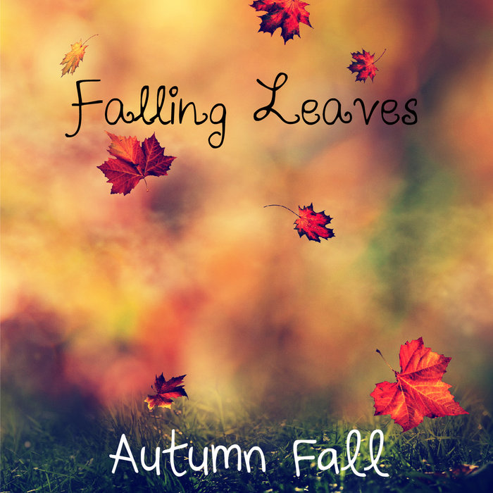 Falling Leaves | Autumn Fall