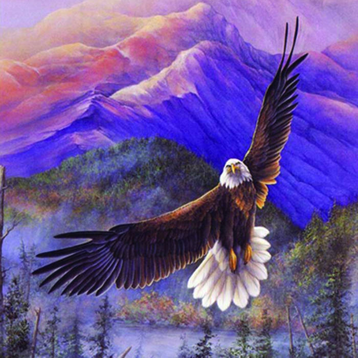 I AM THE EAGLE | Rhett Davis