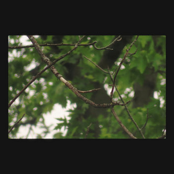 Music | nezuai