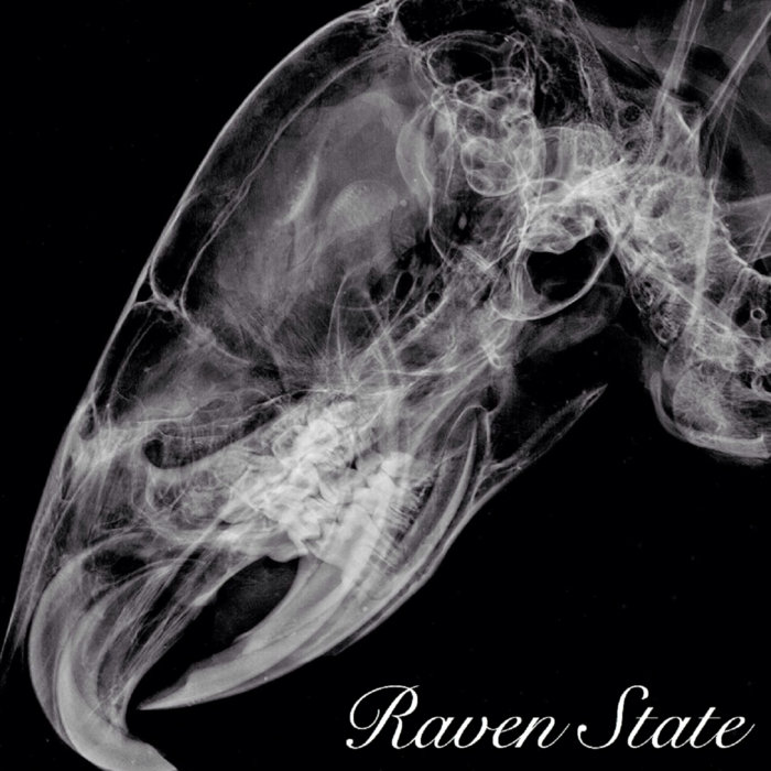 Raven State | Raven State