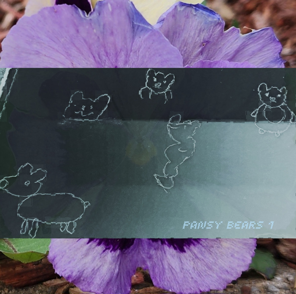Pansy Bears 1 | Nathan Arsenault