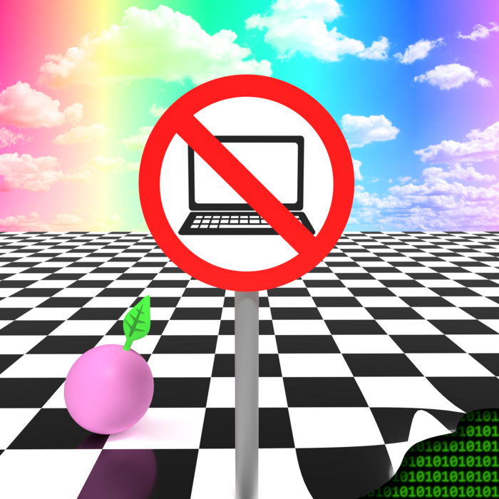 Reality is not a computer simulation | Stevia Sphere