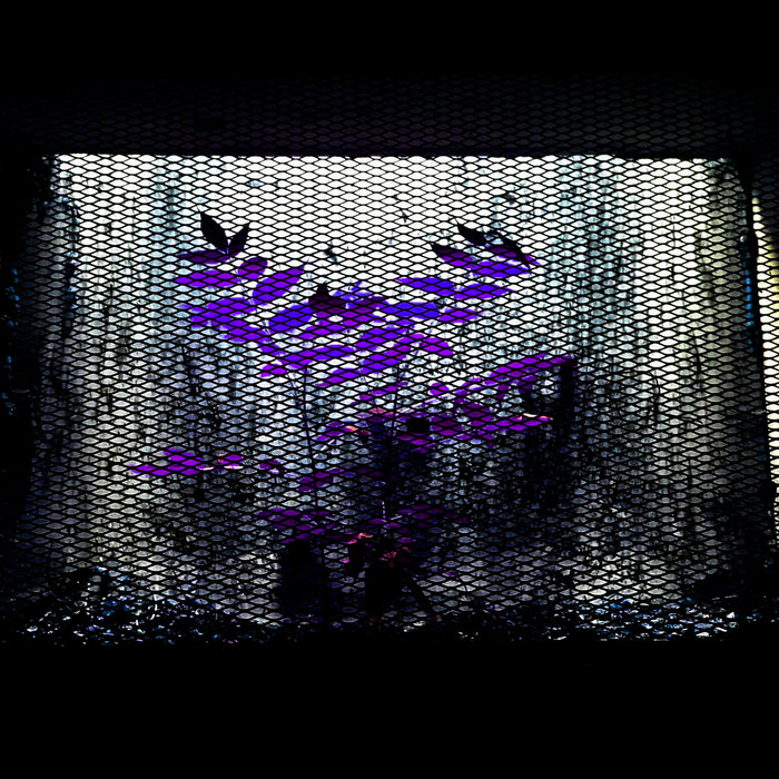 Sonnenfarbe [EP] | Chromatic Apparition