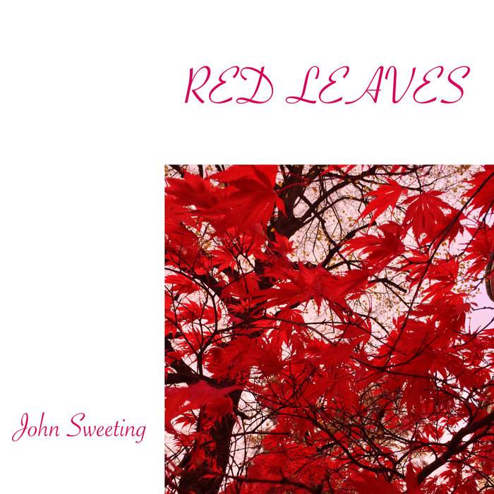 RED LEAVES | JOHN SWEETING