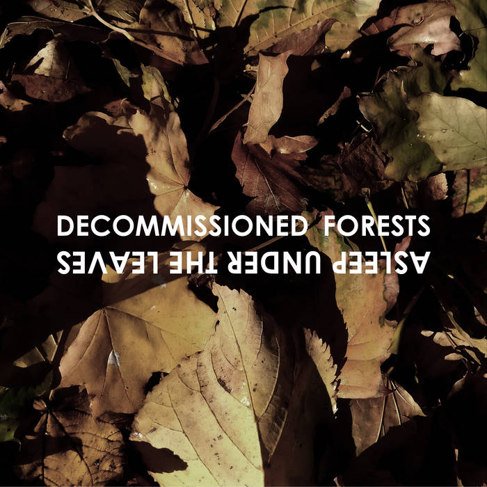 rosinski's collection | Bandcamp