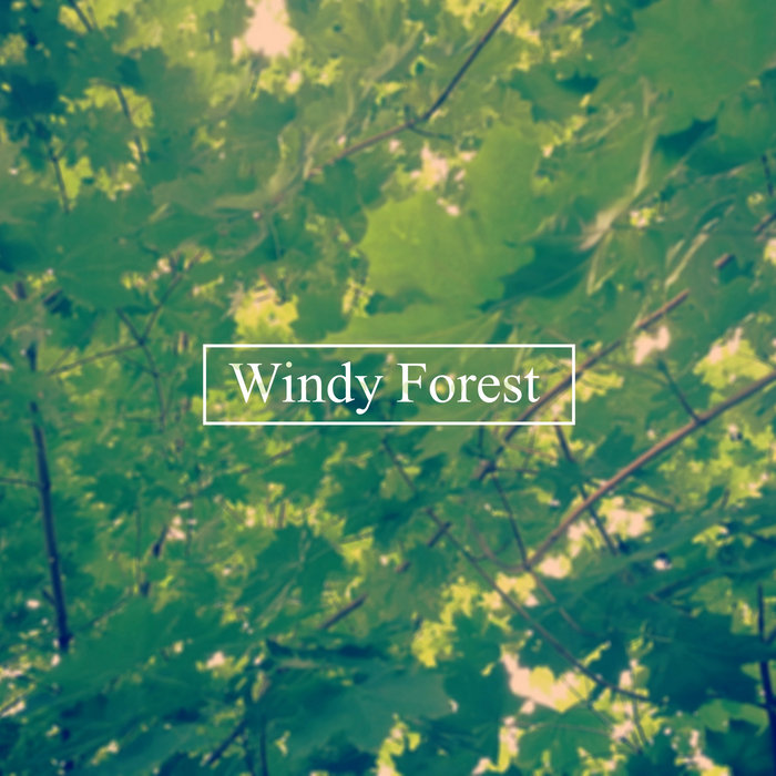 Windy Forest | BigRicePiano