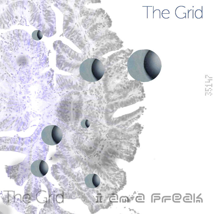 The Grid (album) | i am a freak