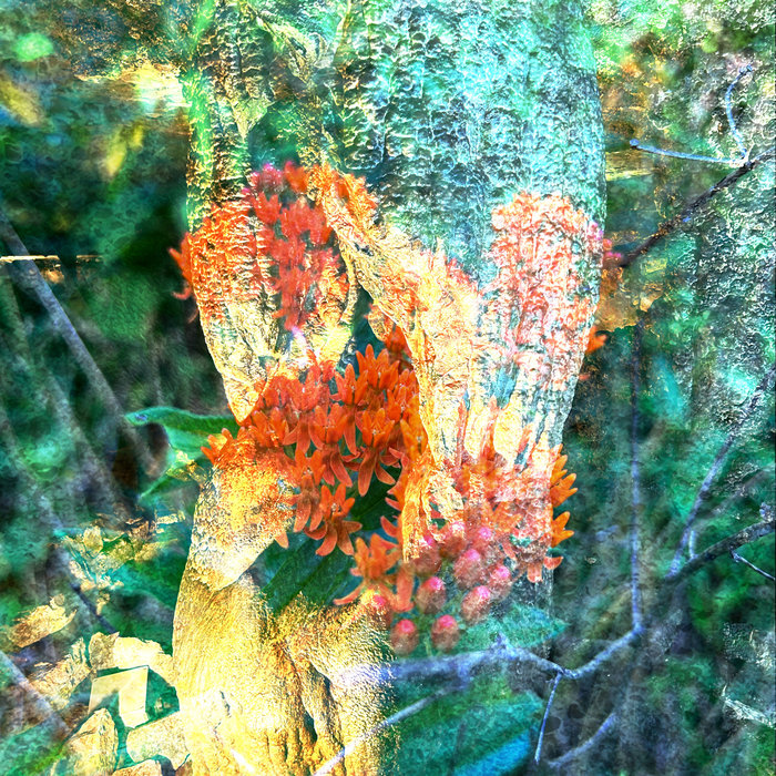 Summers in Kentucky | Jonathan Rager | The Language of Floods