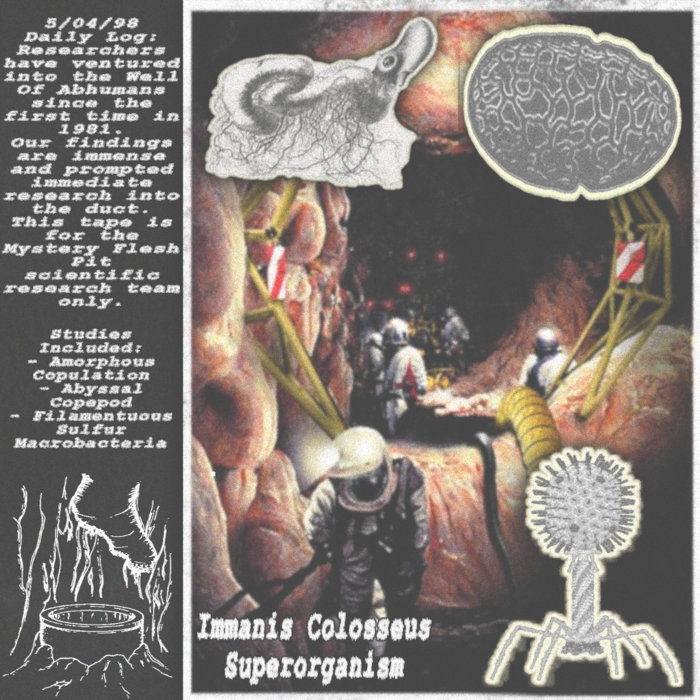 3-Way Split // Immanis Colloseus Superorganism | Gastric Bristleworm ...