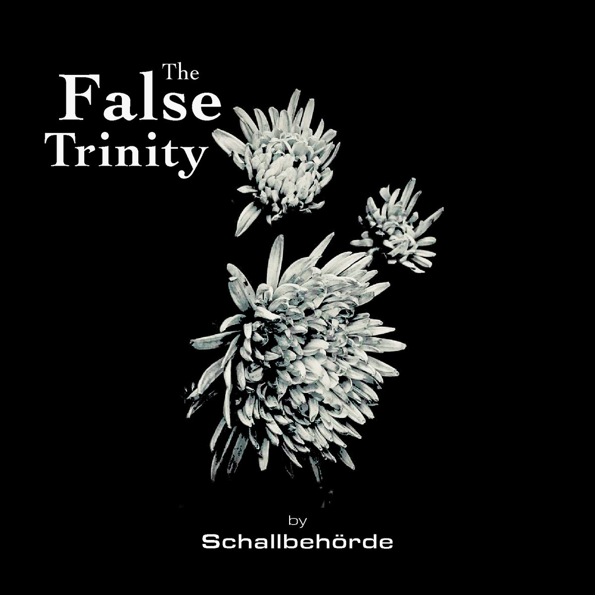 The False Trinity | Schallbehörde