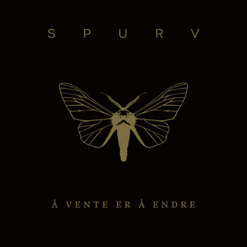 Music | Spurv