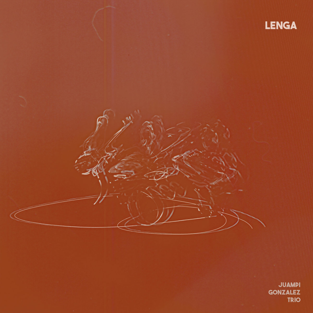 JUAMPI GONZÁLEZ TRÍO - Lenga - (2024) | VIAJERO INMÓVIL Records