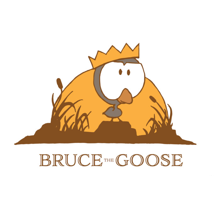 Bruce The Goose | Sean M McGowan