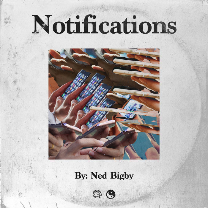 Notifications | ned bigby