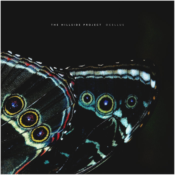 Ocellus | The Hillside Project