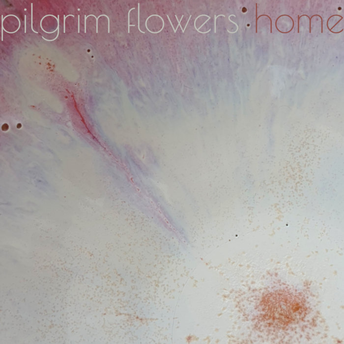 Home | Pilgrim Flowers