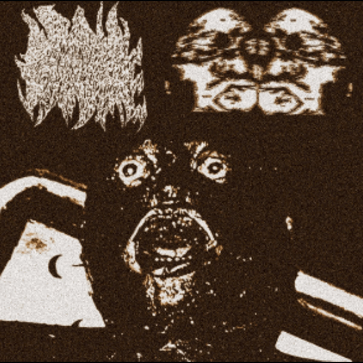 Black Putrefaction Decomposition | Spontaneous combustion productions