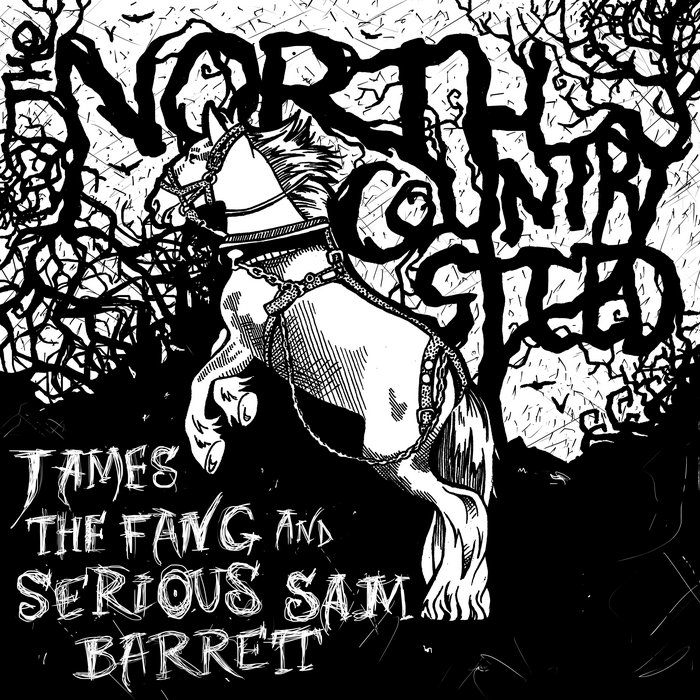 THE NORTH COUNTRY STEED | Serious Sam Barrett (YaDig? Records)