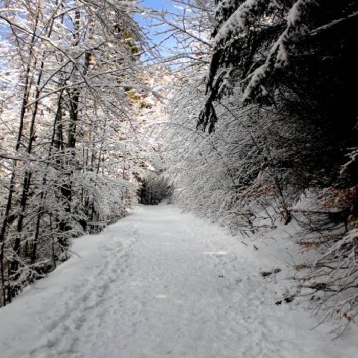 Burrower | Adam Primack