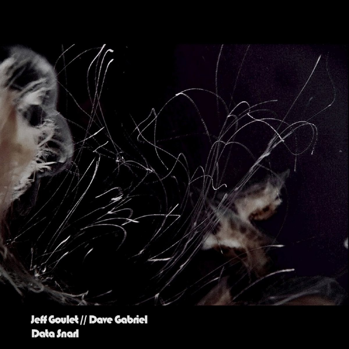 Data Snarl | Jeff Goulet and Dave Gabriel | Jeff Goulet