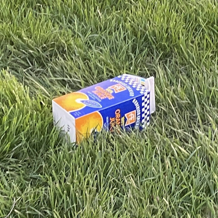 Sometimes I Say Things Then Say it Again (Sometimes I Say Things Then ...