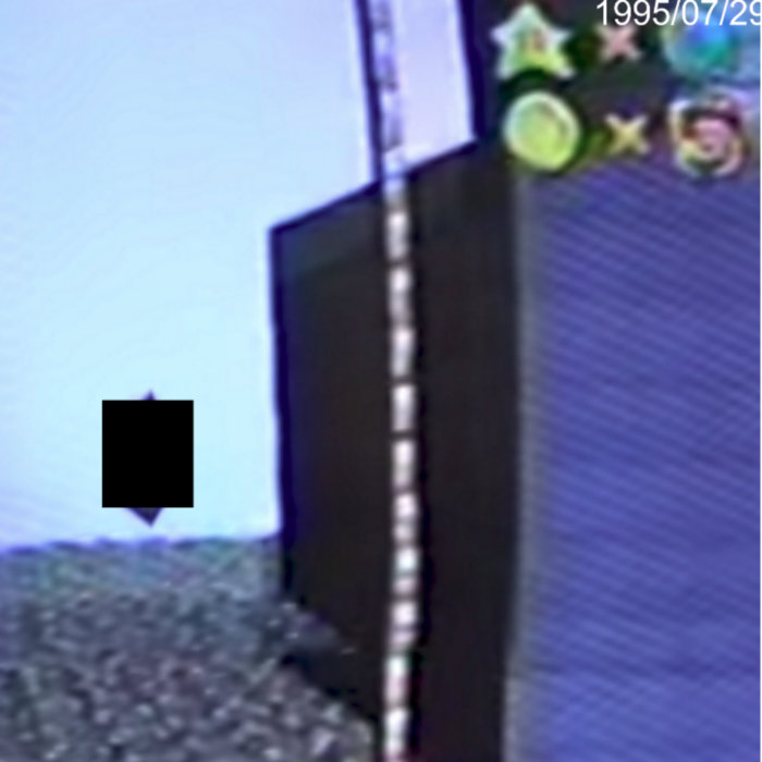 build_1995/07/29 | 1995/07/29