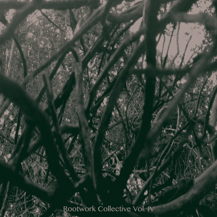 Rootwork Compilation Vol. 4 | Rootwork Collective