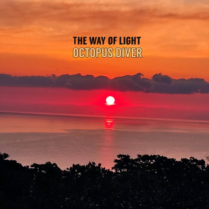 The way of light | Octopus Diver