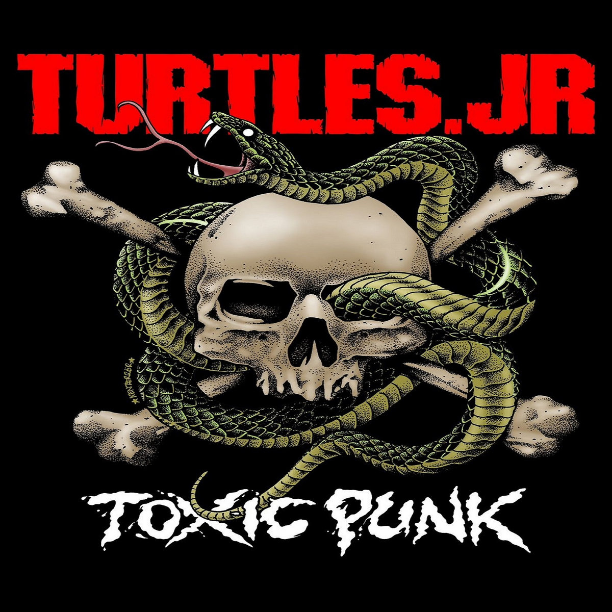 Toxic Punk | Turtles Jr | TURTLES JR