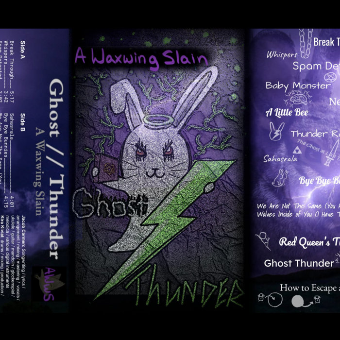 Ghost // Thunder | A Waxwing Slain