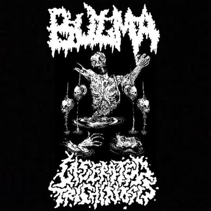 LACERATED TRICHINOSIS / BULMA ブルマ - SPLIT EP 2022 | LACERATED ...