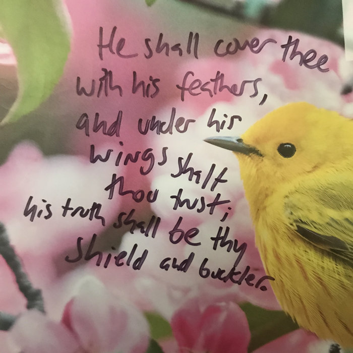 He shall cover thee with his feathers, and under his wings shalt thou ...