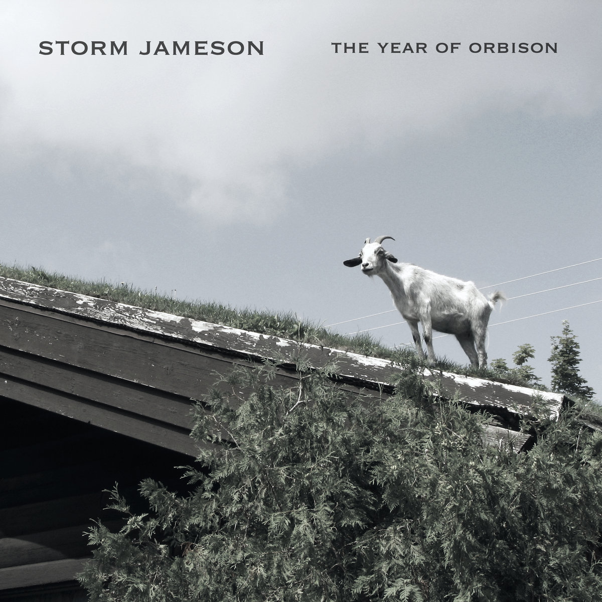The Year of Orbison | Storm Jameson