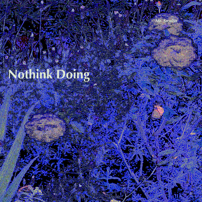 Nothink Doing | Mr. Smolin