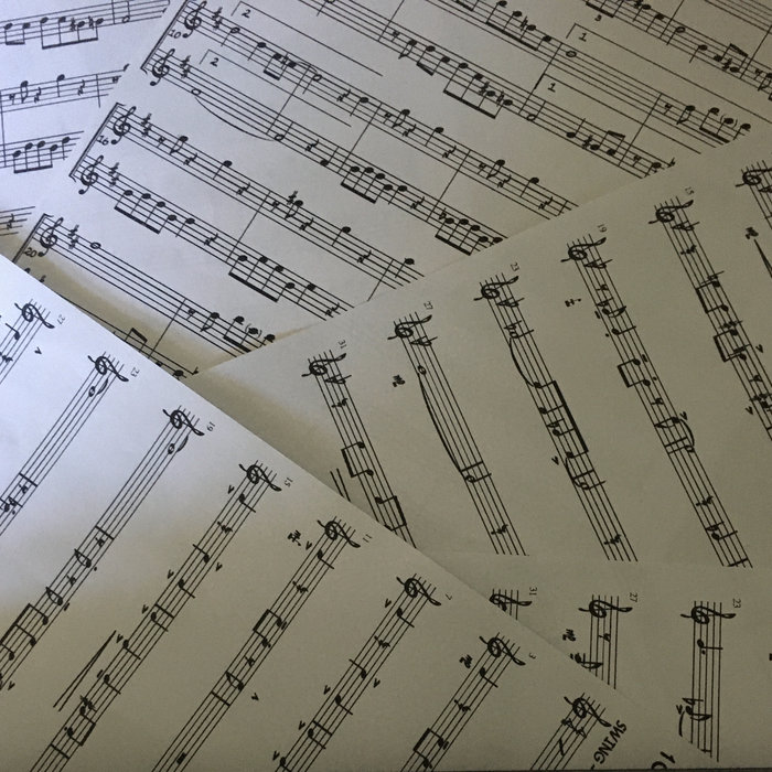 ANGEL LANE | DOUBLE DOWN DUETS | terry quinney