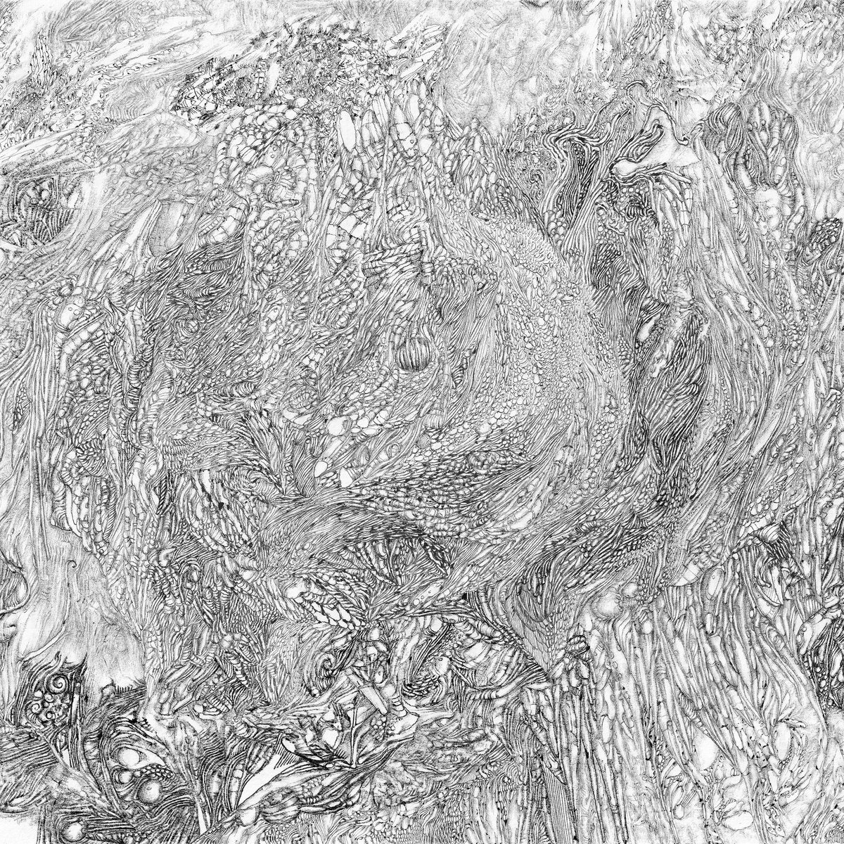 Cynosarges | Bacita Fali