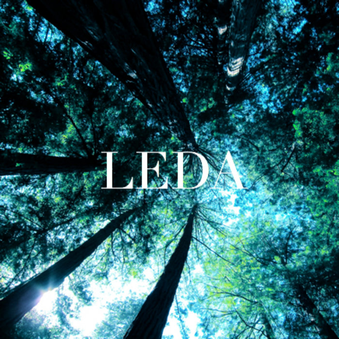 Something to Believe In b/w You Are the One | Leda