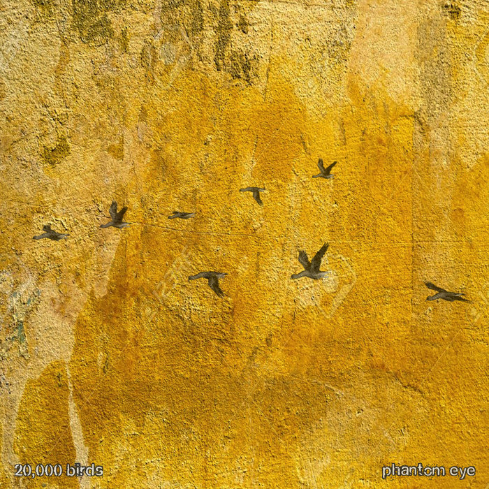 20,000 birds (EP) | Phantom Eye