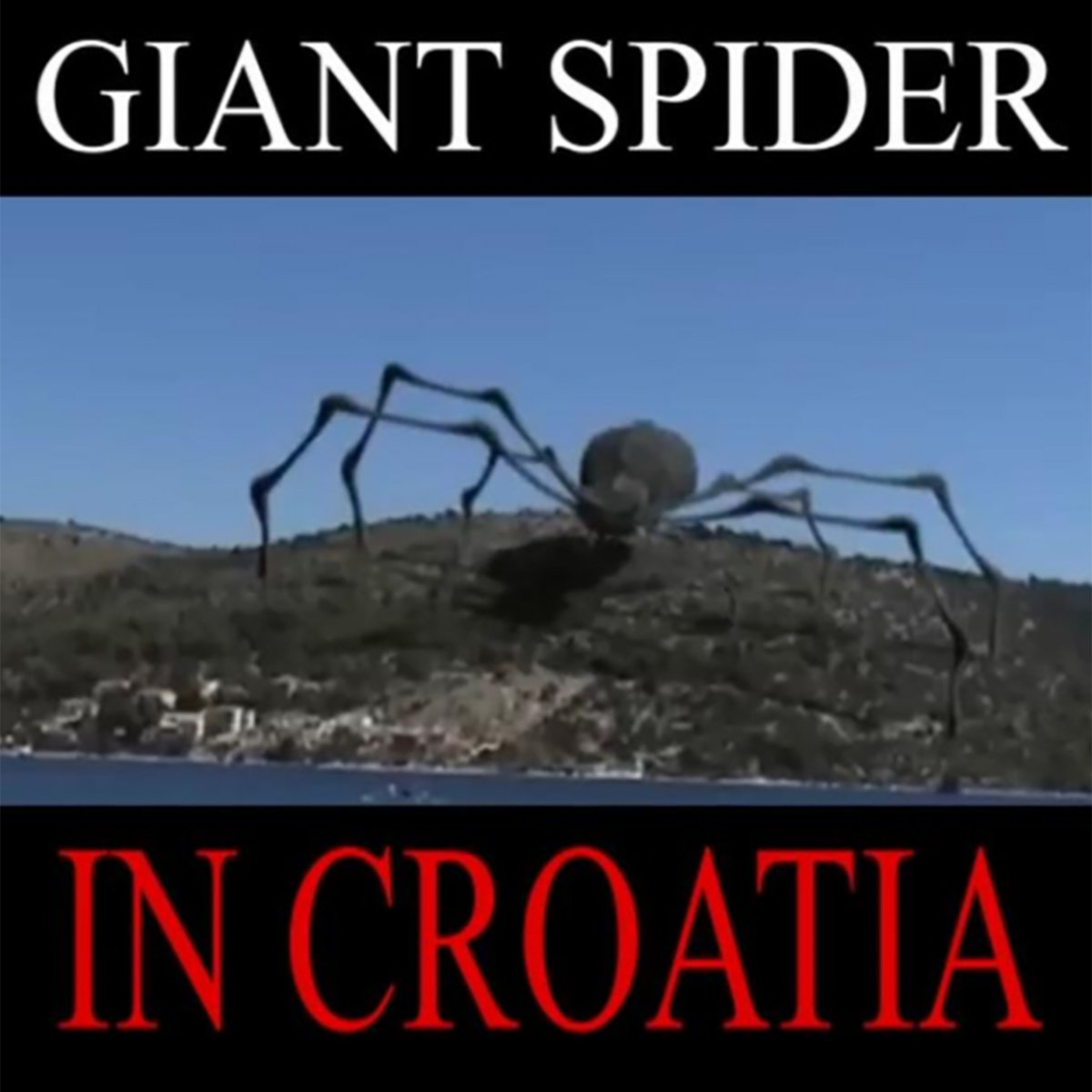 In Croatia | Giant Spider