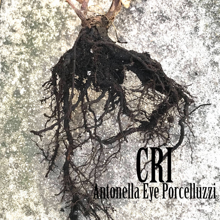 CRI | Antonella Eye Porcelluzzi solo | THE EXPLOSIVE EYE-P Lab