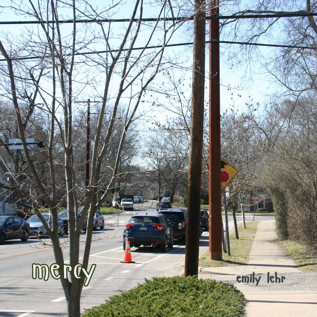 Mercy | Emily Lehr