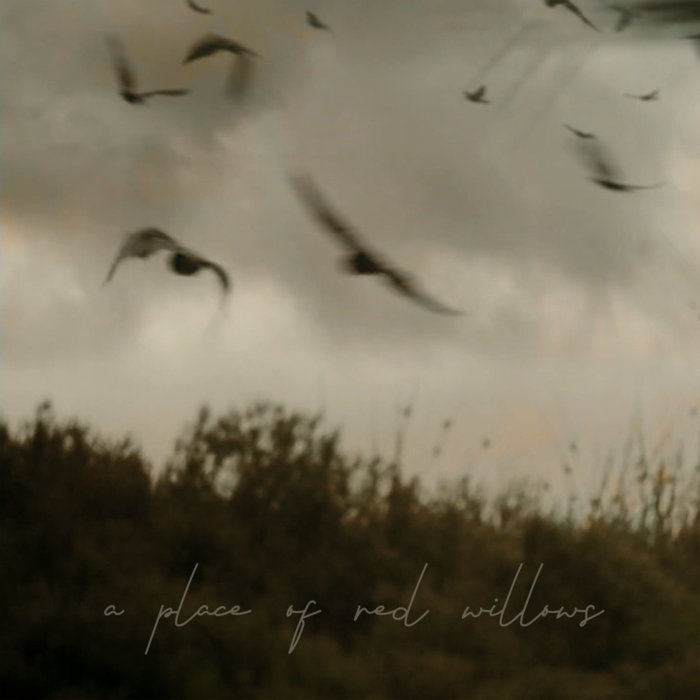 a place of red willows | pale april