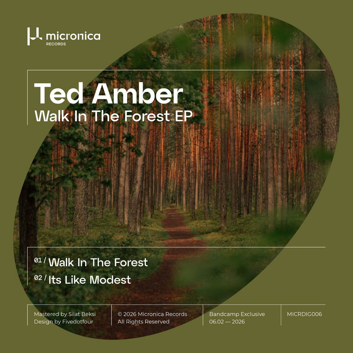 Ted Amber - Walk In The Forest EP [MICRDIG006] | Micronica Records